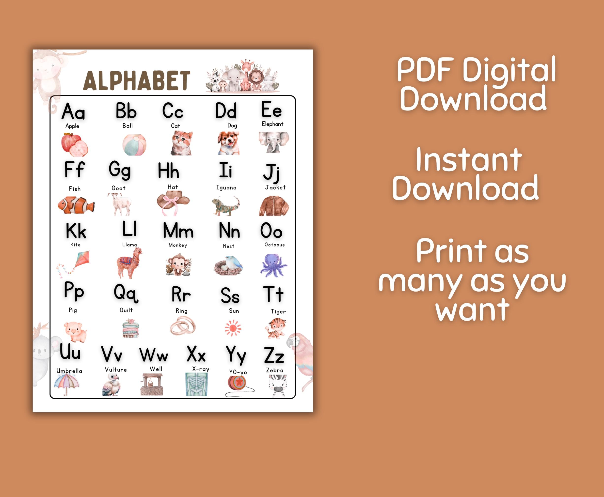 Safari Phonics Chart Set: Homeschool & Classroom Decor (digital ...