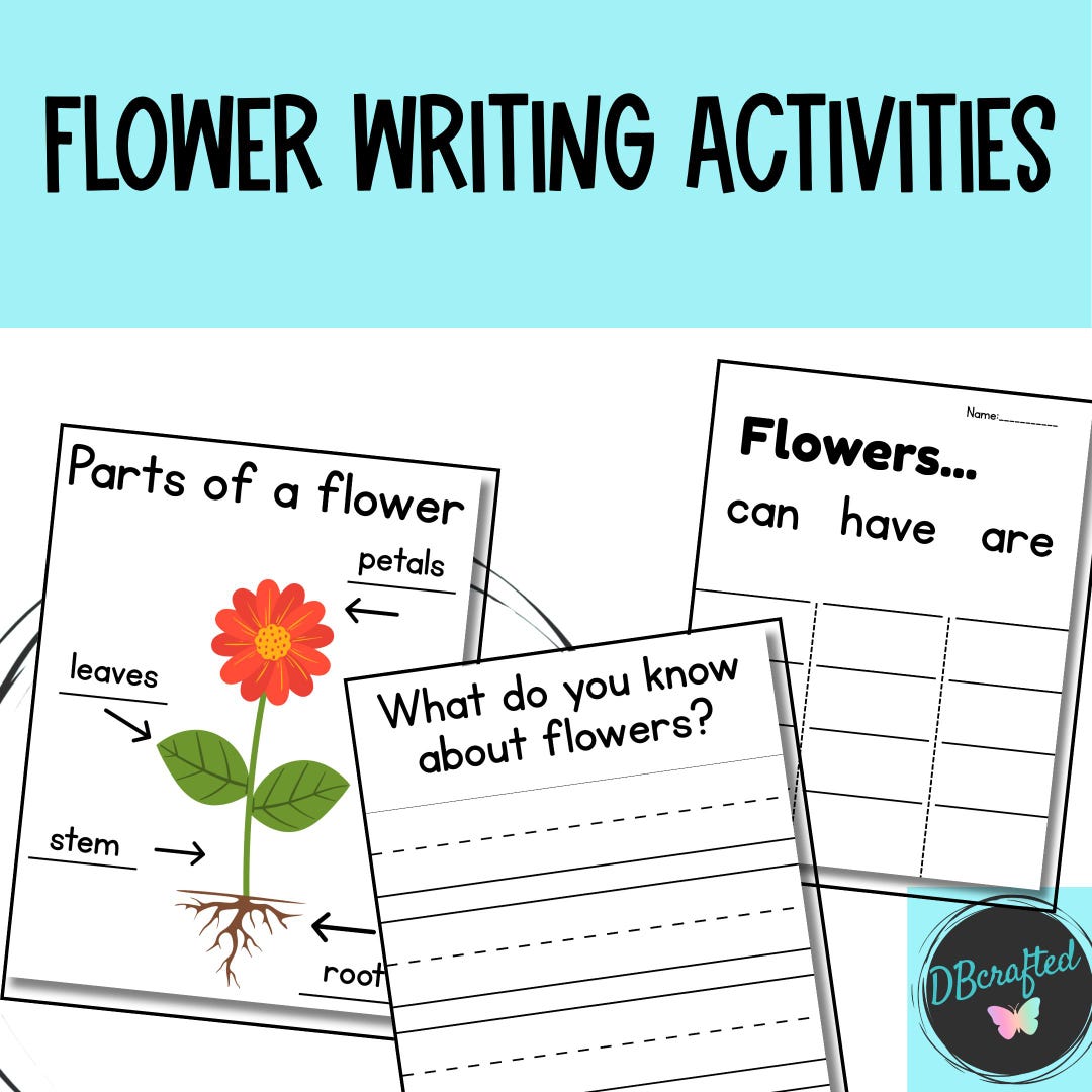 Flower Writing Activity | Have Can Are Graphic Organizer, Labeling ...