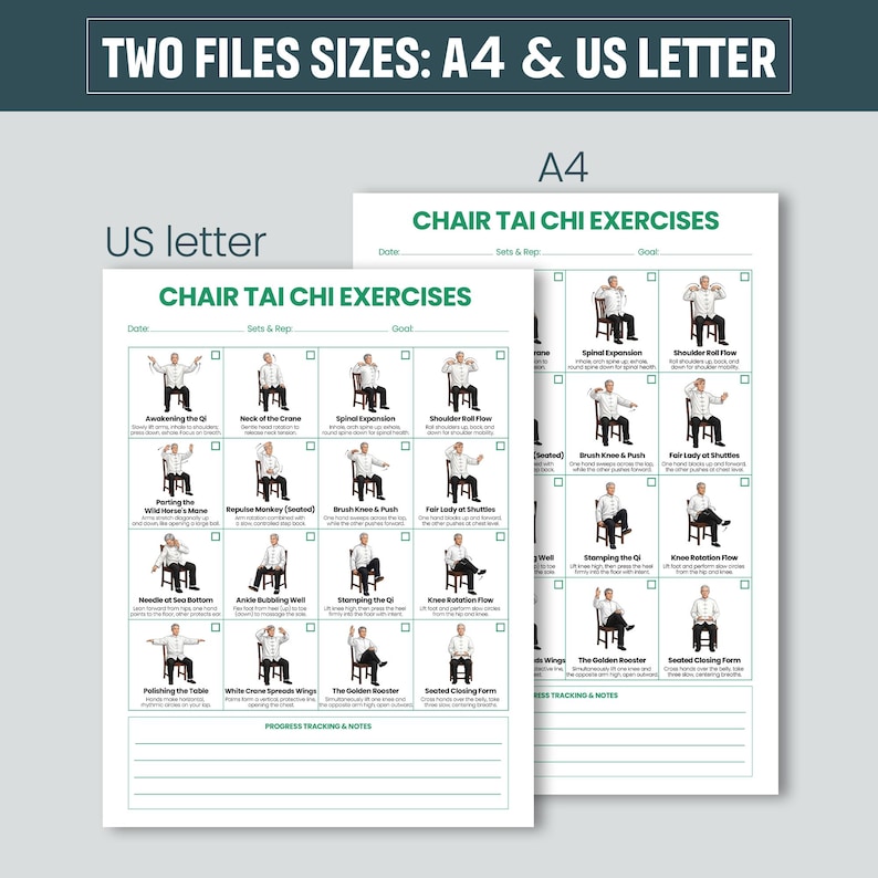 Chair Tai Chi Exercise Printable, Seated Tai Chi for Seniors and ...