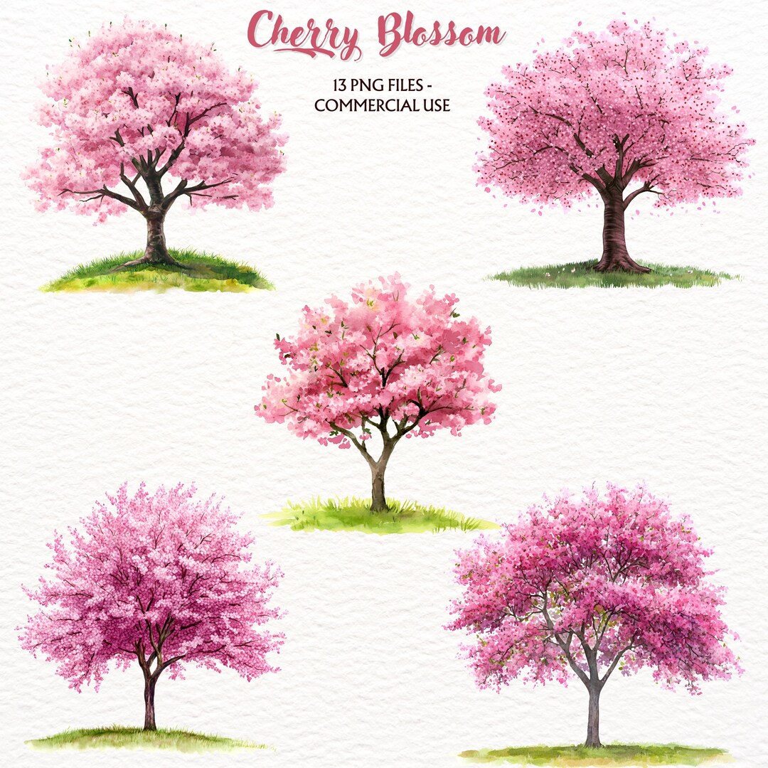 Watercolor Cherry Blossom Clipart , Sakura Tree Clip Art , Spring ...