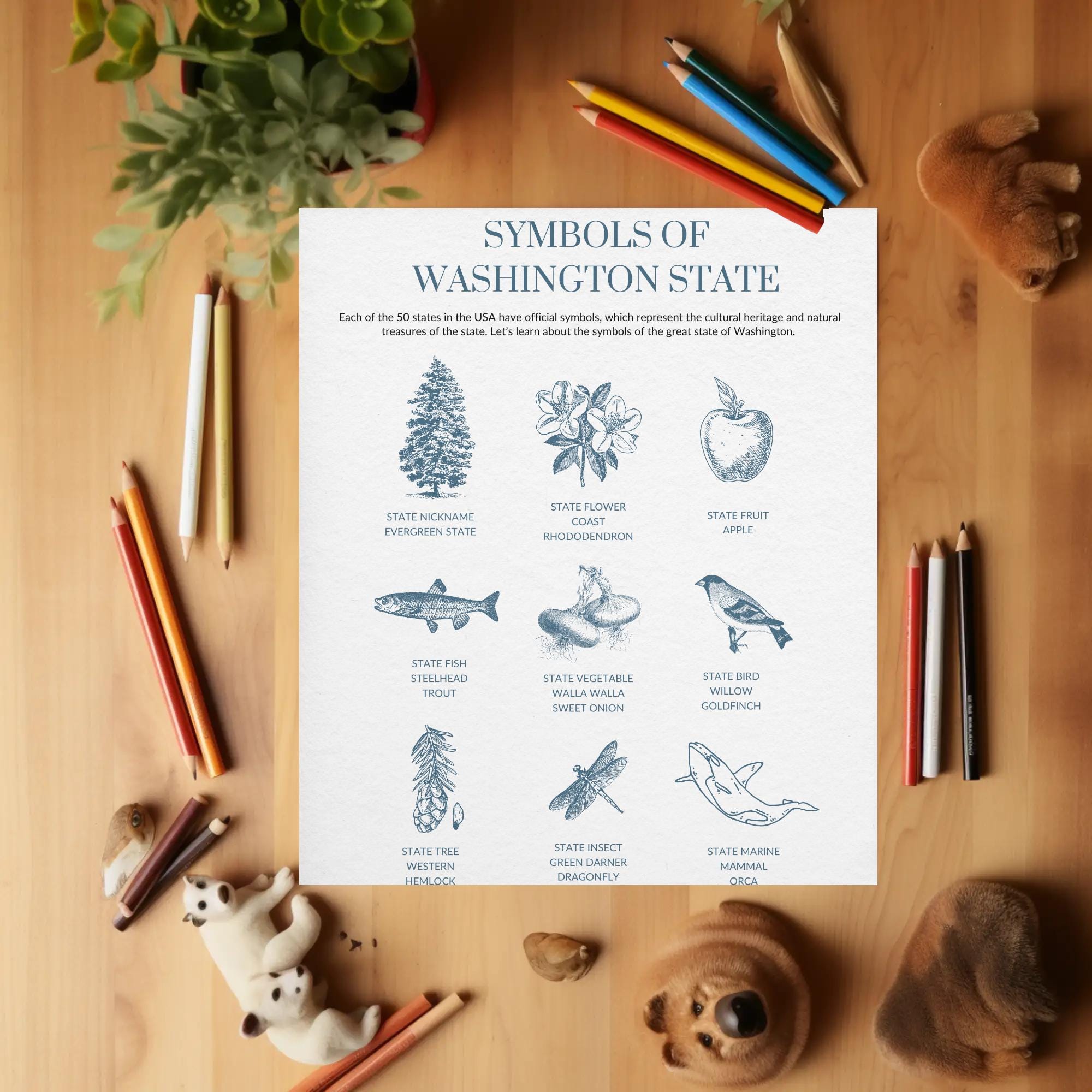 State Symbols of Washington Coloring Sheet - Etsy