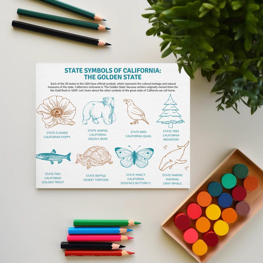 State Symbols of California Coloring Sheet - Etsy