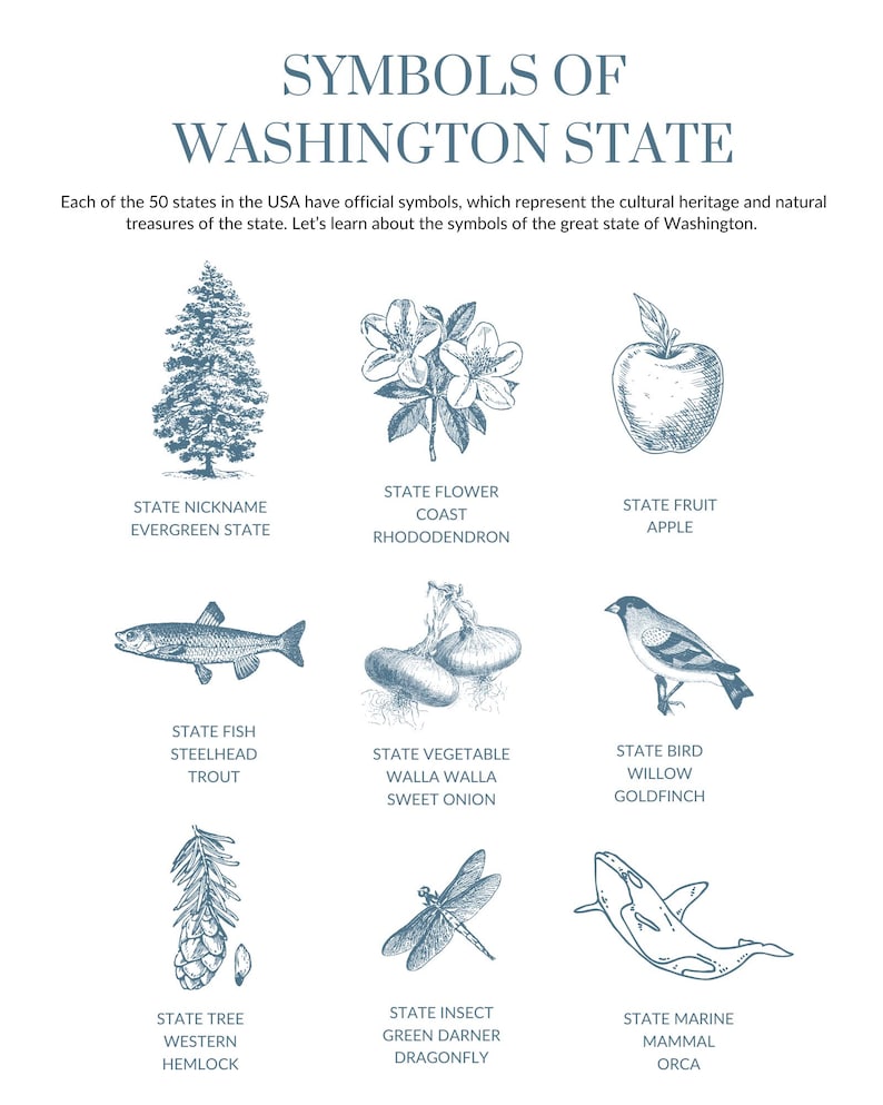 State Symbols of Washington Coloring Sheet - Etsy
