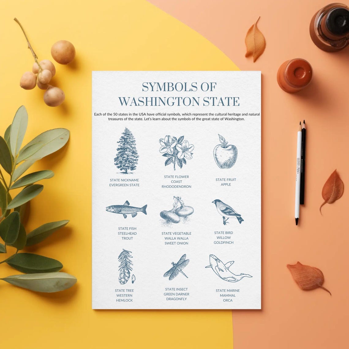 State Symbols of Washington Coloring Sheet - Etsy