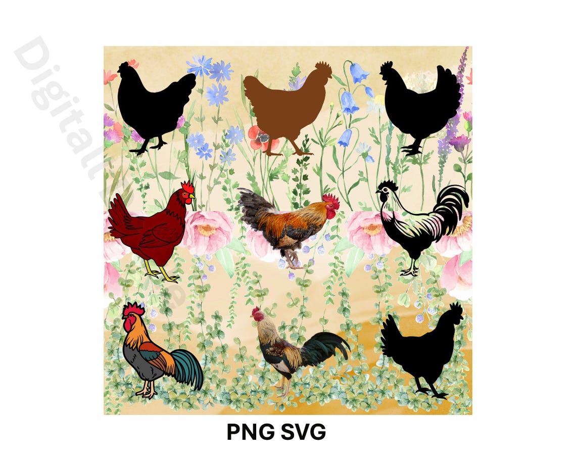 Floral Chicken SVG Bundle, Farmhouse Hen Rooster PNG (digital Download ...