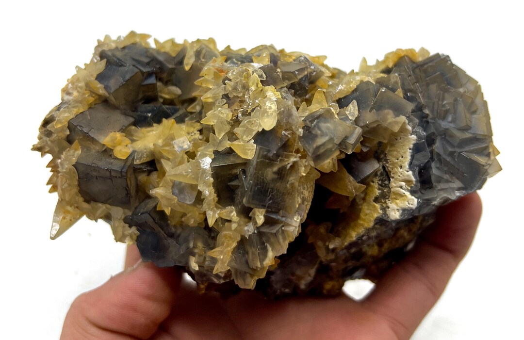 860: Gram Beautiful Natural Blue Dog Teeth Shape Cubic Fluorite With ...