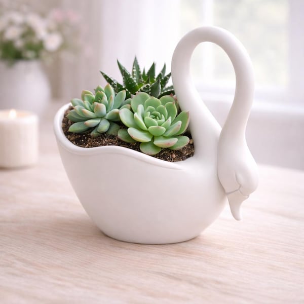 Swan Planter - Etsy