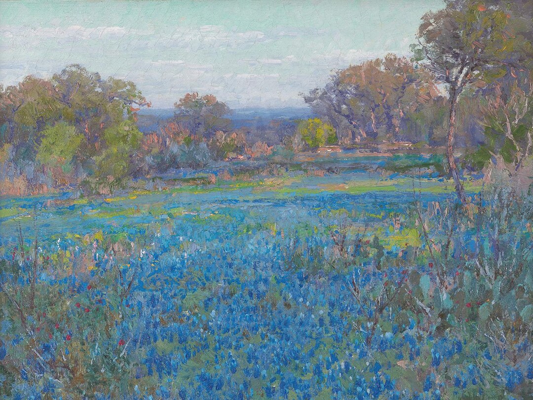 Texas Wild Flowers | PRINTABLE | Blue Fields in Spring | Bluebells ...