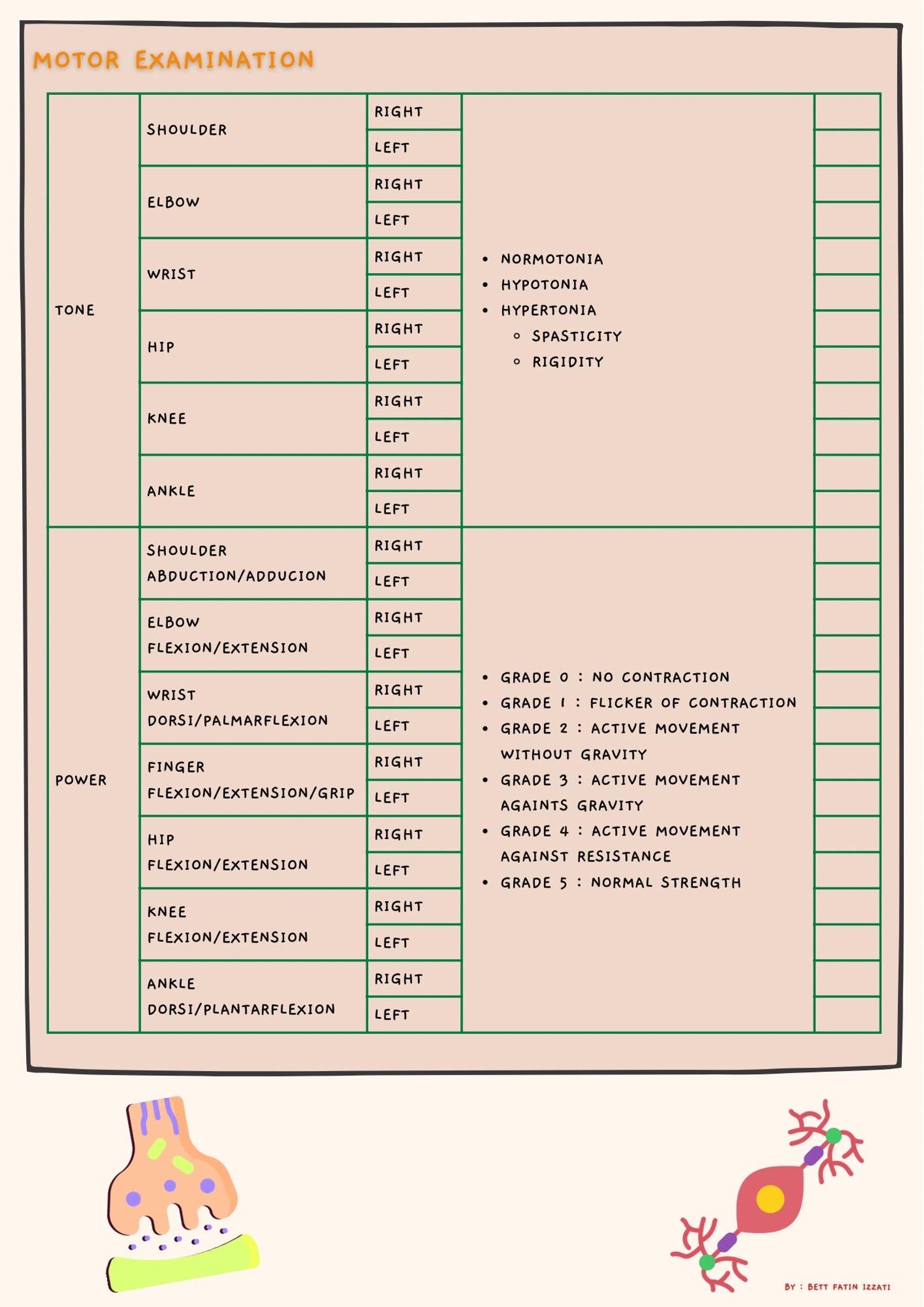 Neurological Examination Medical Clerking Templates - Etsy