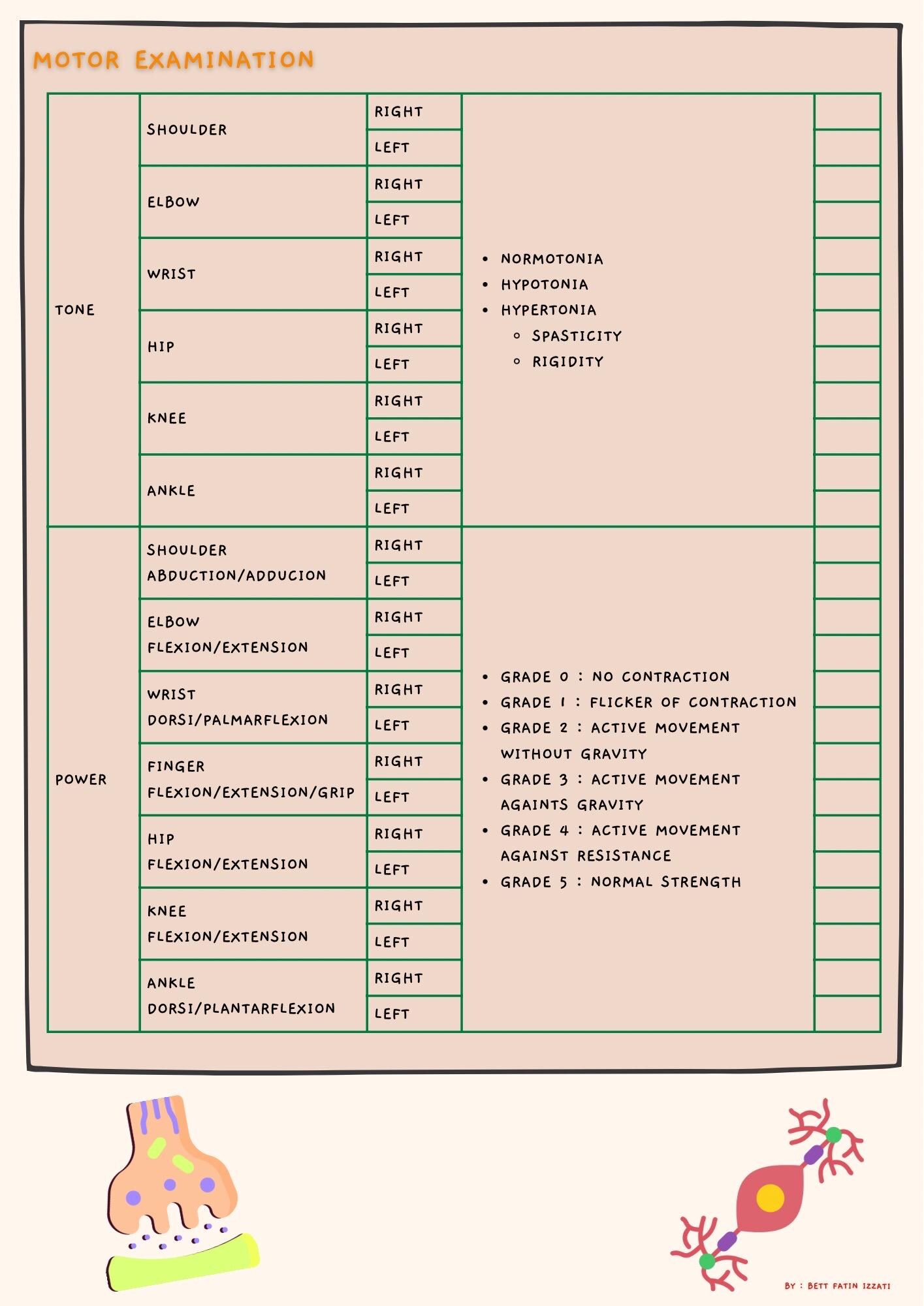 Neurological Examination Medical Clerking Templates - Etsy