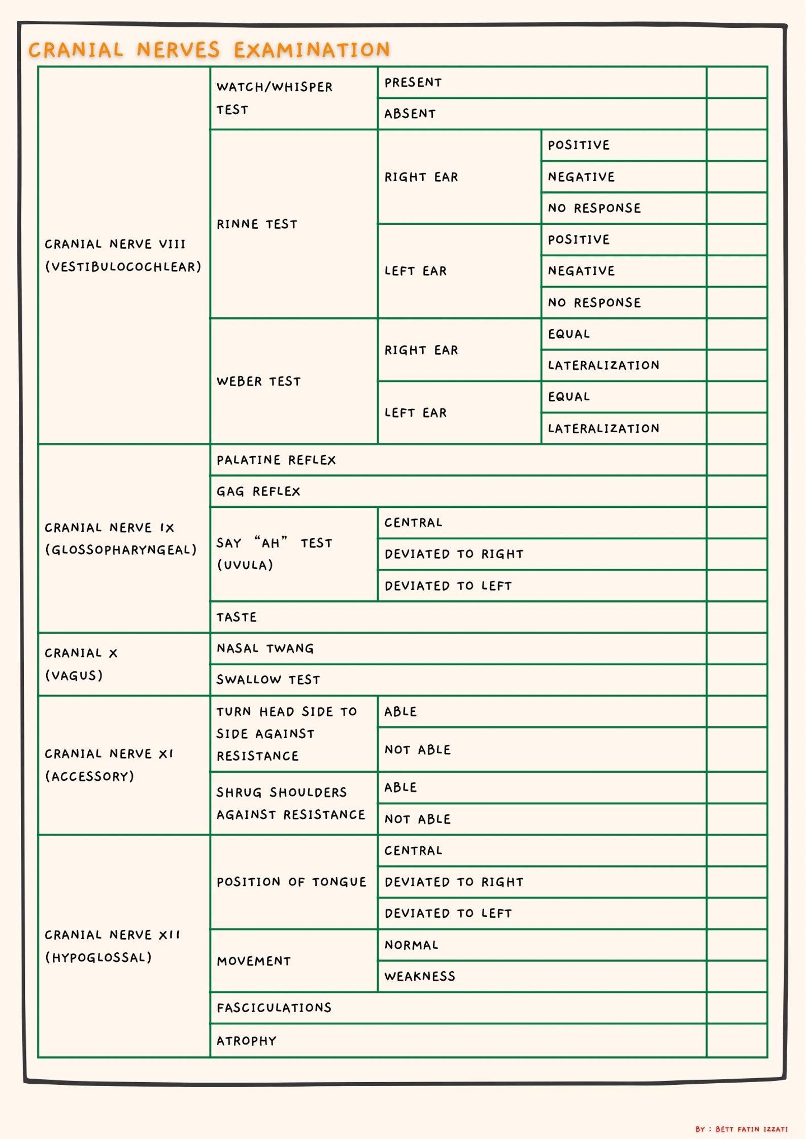 Neurological Examination Medical Clerking Templates - Etsy