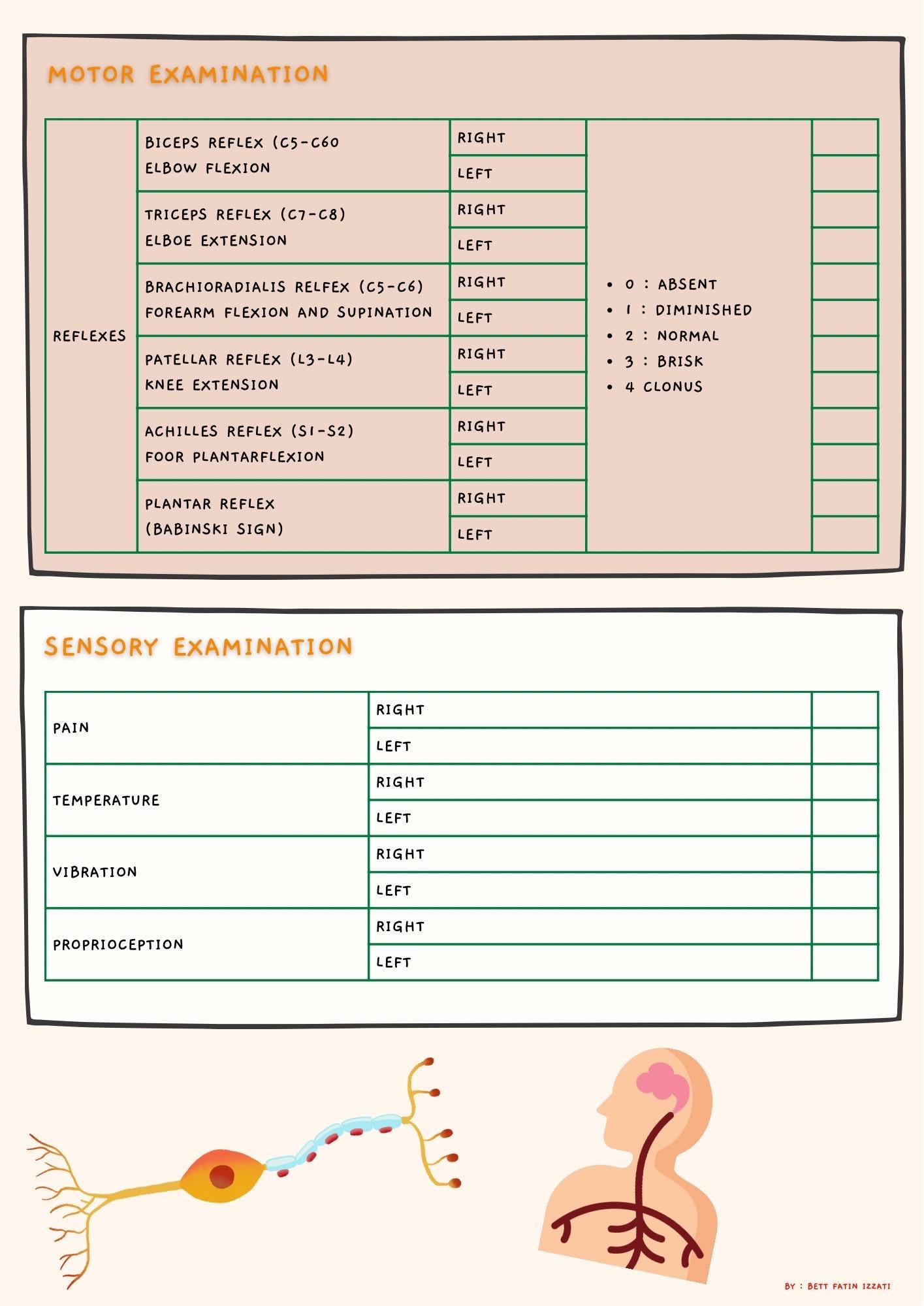 Neurological Examination Medical Clerking Templates - Etsy