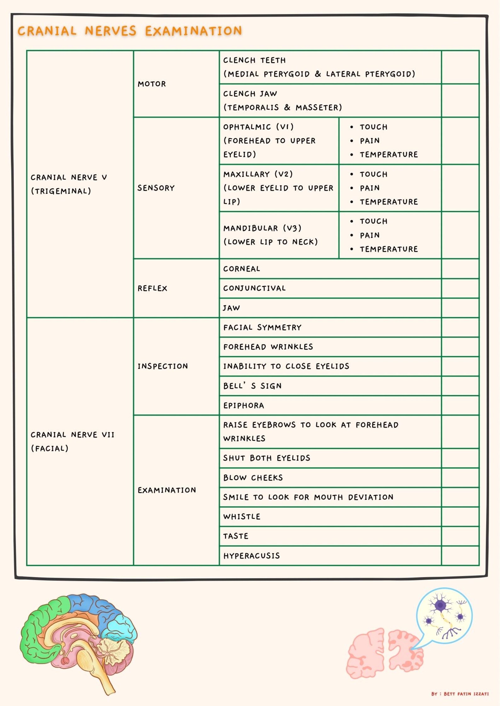 Neurological Examination Medical Clerking Templates - Etsy