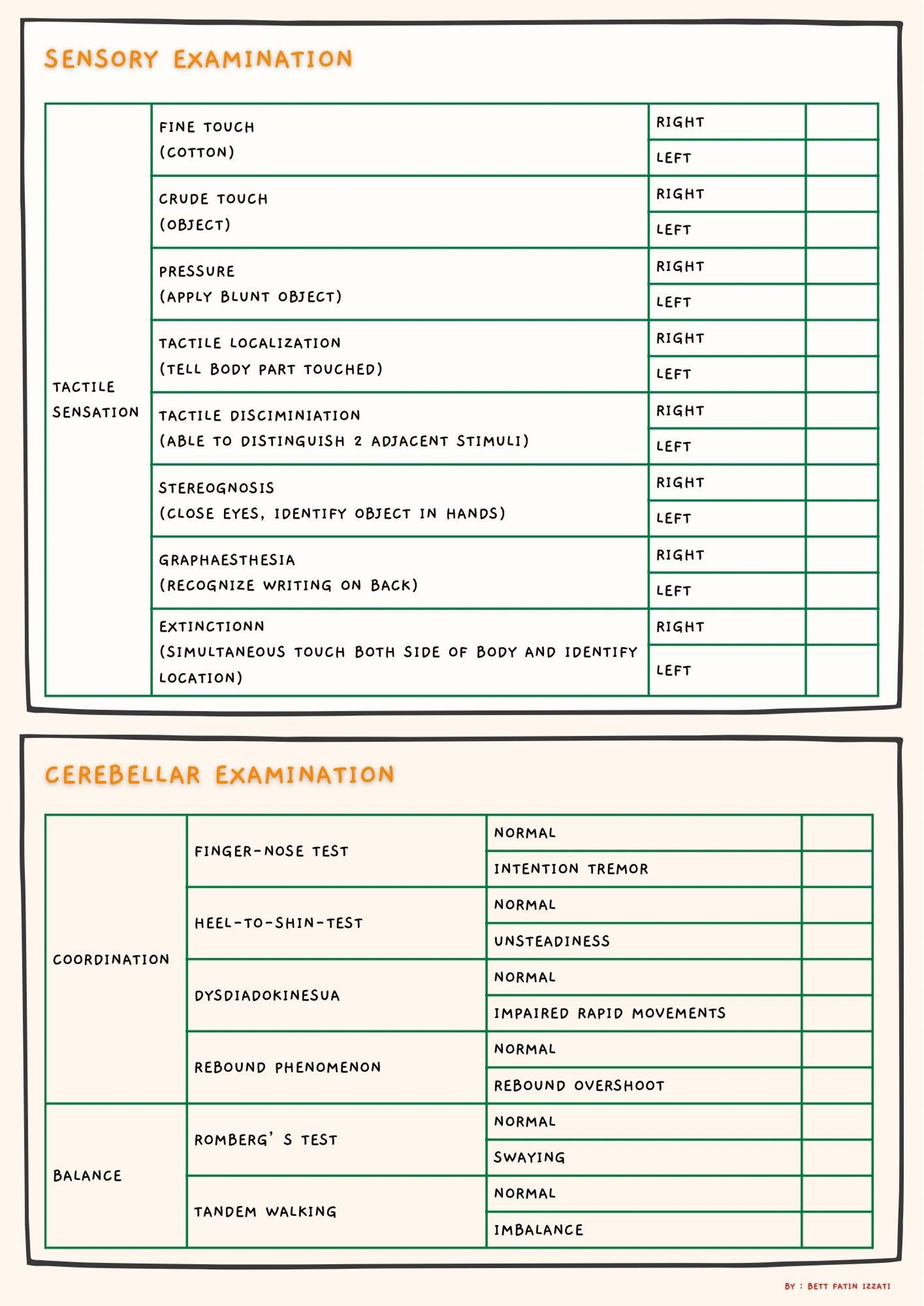 Neurological Examination Medical Clerking Templates - Etsy