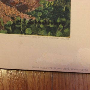 Henry Schnakenberg Cat and Kittens 1937 Original Collotype Colorprints ...