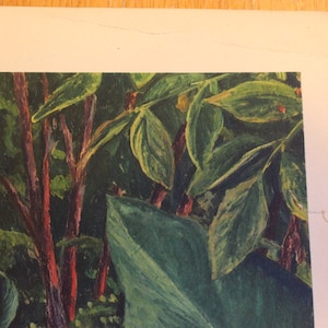 Henry Schnakenberg Cat and Kittens 1937 Original Collotype Colorprints ...