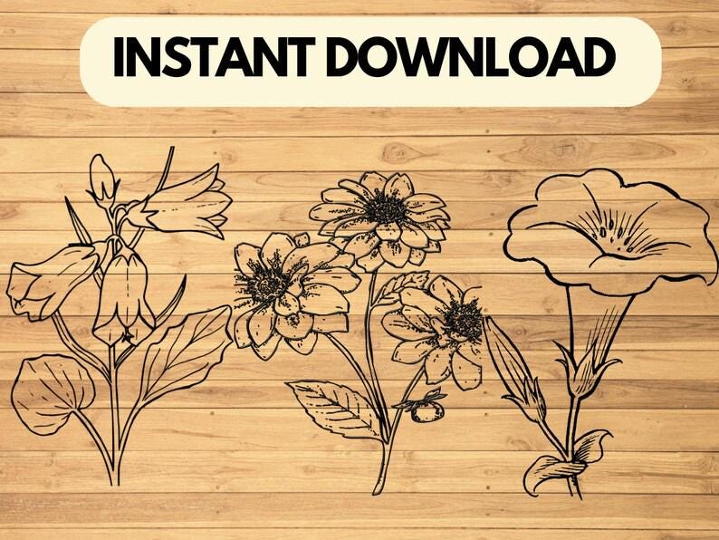 110 Beautiful Flowers Coloring Pages, Adult Coloring, Floral Coloring ...