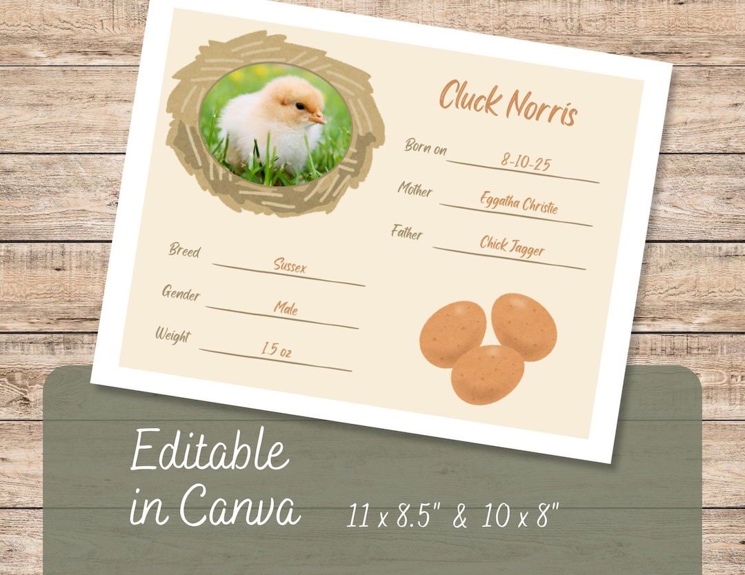 Editable Chicken Birth Certificate, Chick Birth Certificate Canva ...