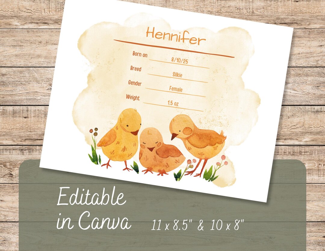 Chick Birth Certificate Canva Template, Editable Chicken Birth ...
