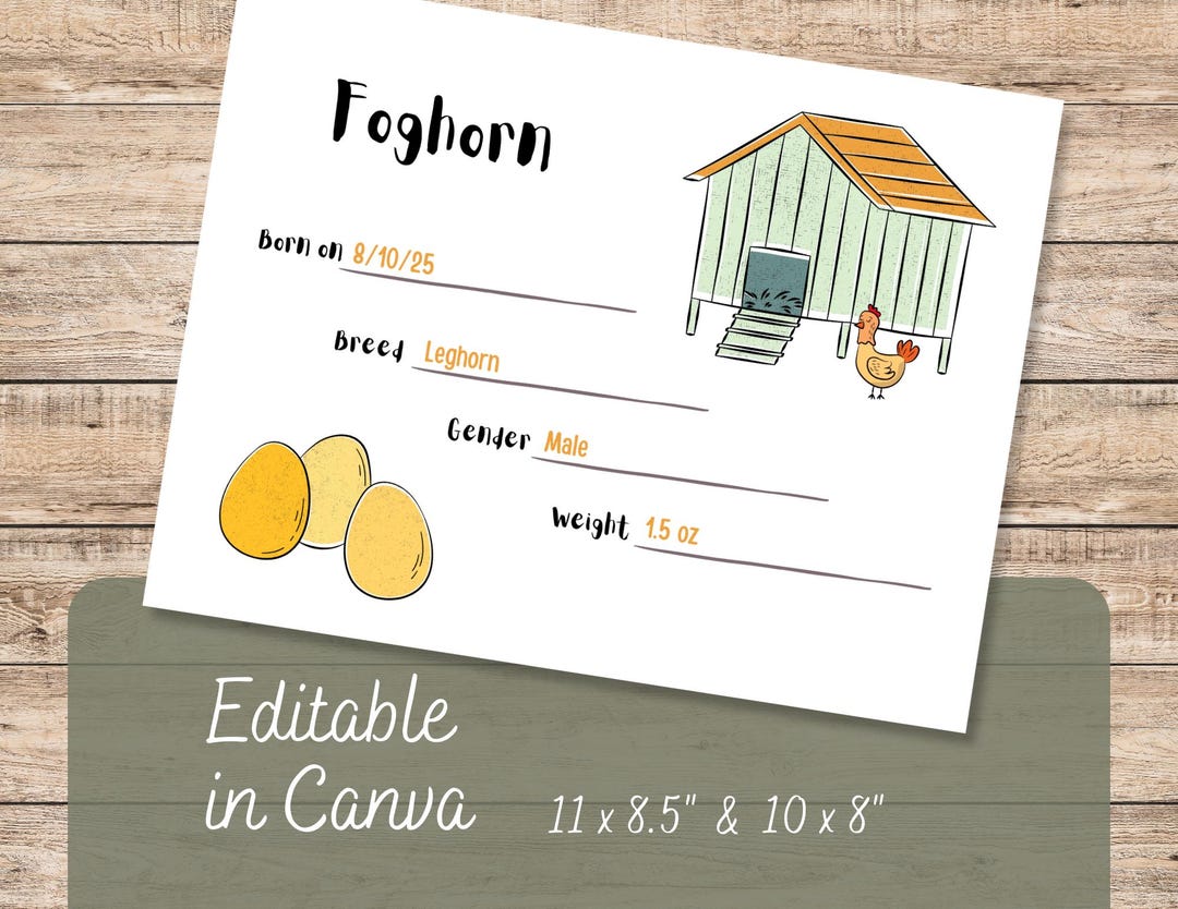 Chick Birth Certificate Canva Template, Editable Chicken Birth ...