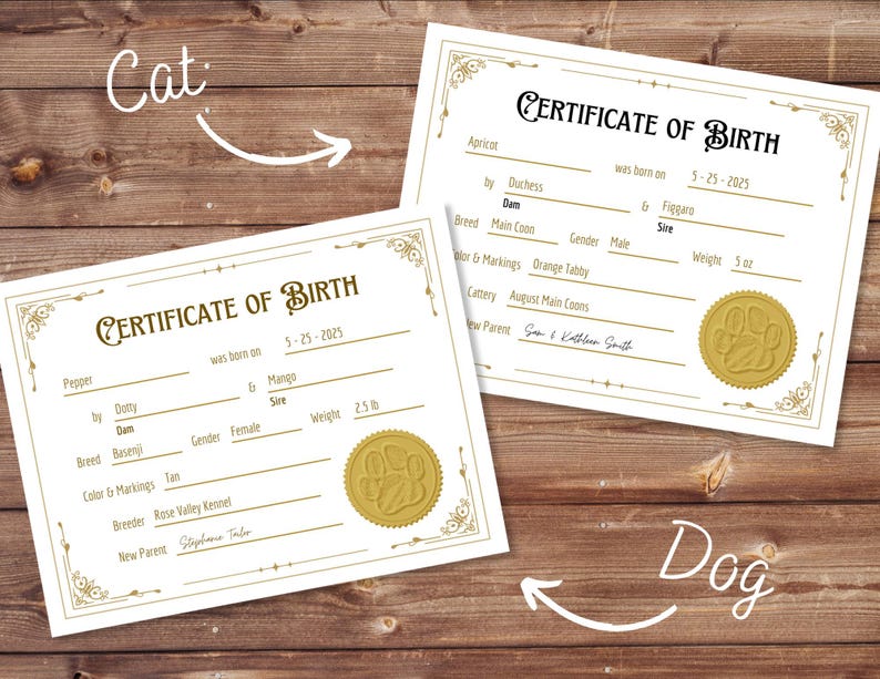Editable Kitten Birth Certificate Template, Custom Cat Certificate ...