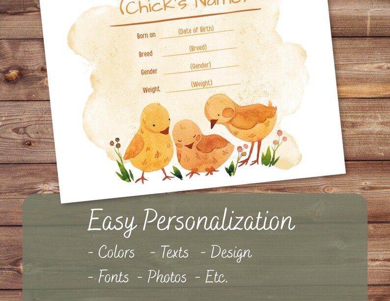 Chick Birth Certificate Canva Template, Editable Chicken Birth ...