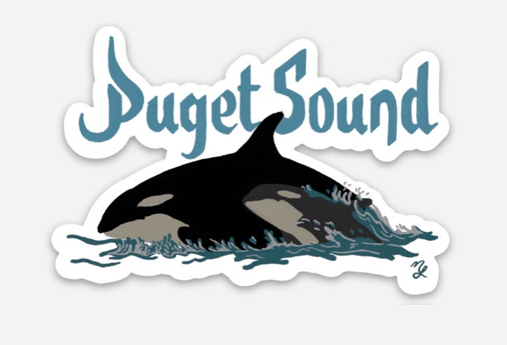 Puget Sound Orca 3 x 2 Sticker | Etsy