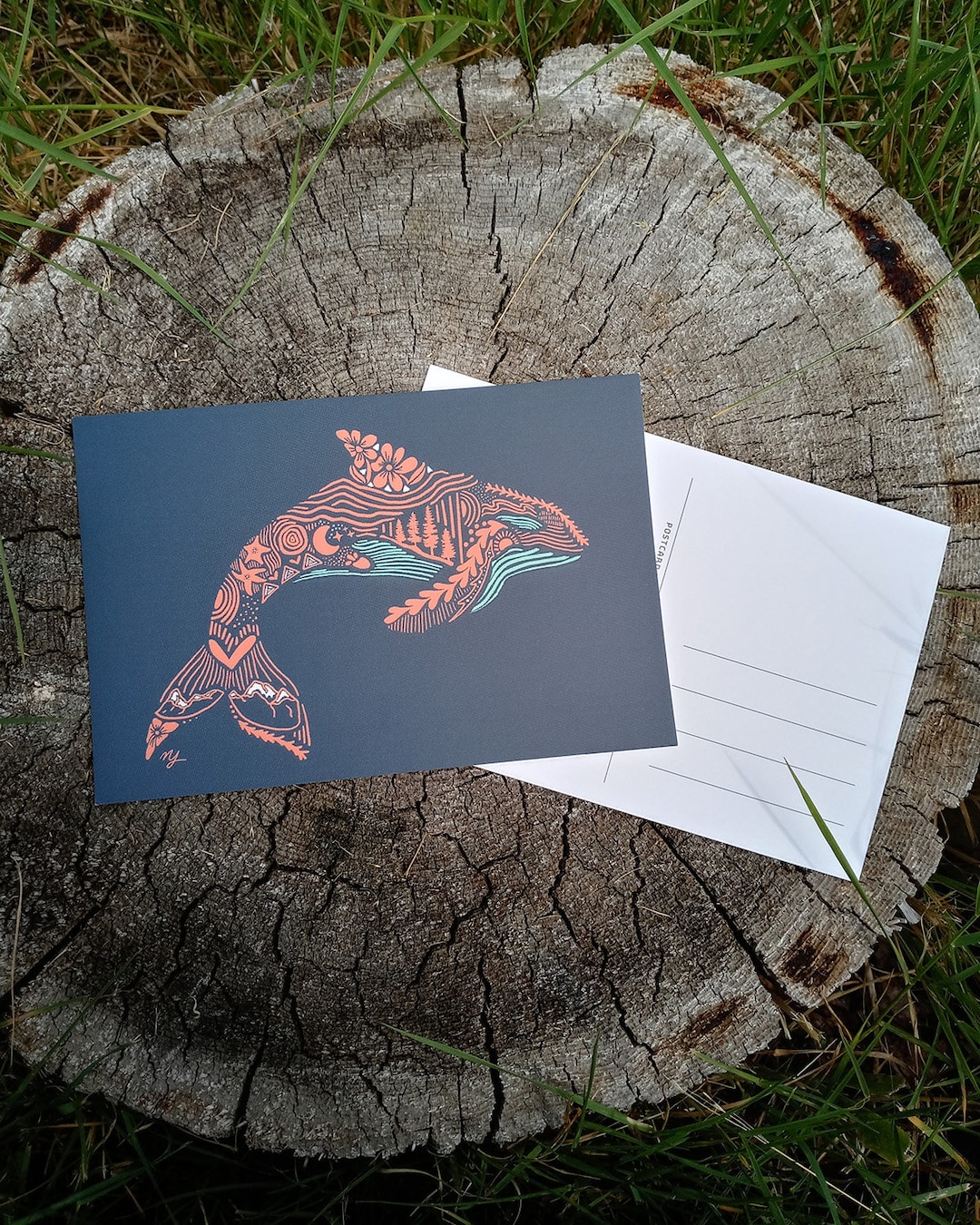 Orca Lines Postcard 4x6 - Etsy