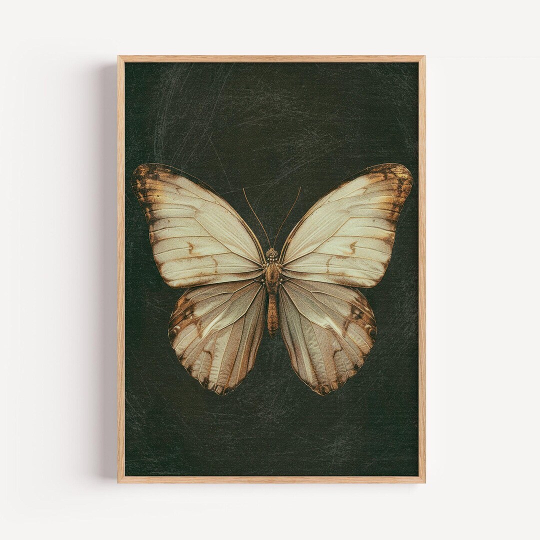 Vintage Butterfly Print: Antique Insect Illustration, Dark Academia ...