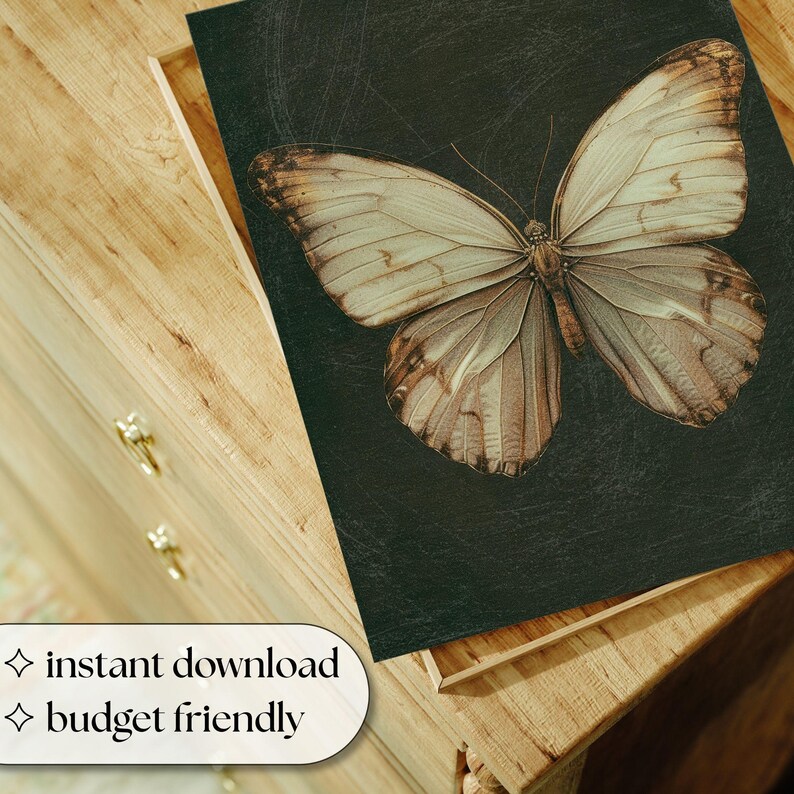 Vintage Butterfly Print: Antique Insect Illustration, Dark Academia ...