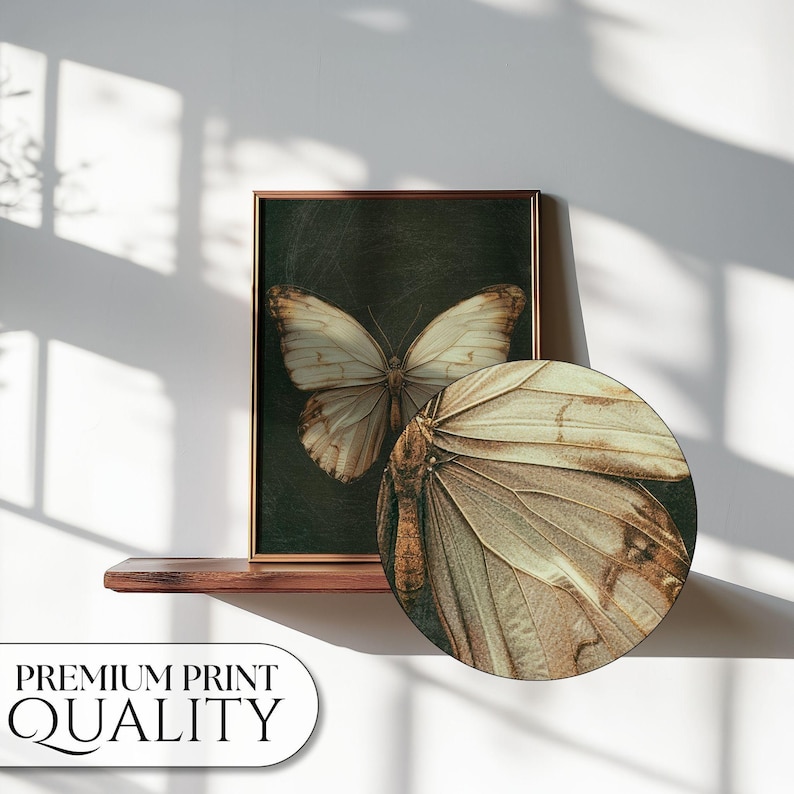 Vintage Butterfly Print: Antique Insect Illustration, Dark Academia ...