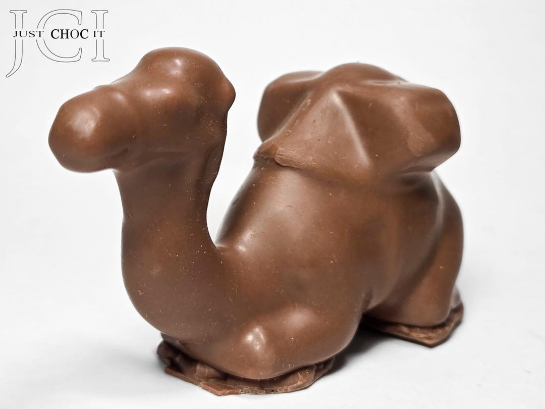 Chocolate Camel Figurine | Exotic Edible Animal Sculpture | Handmade ...