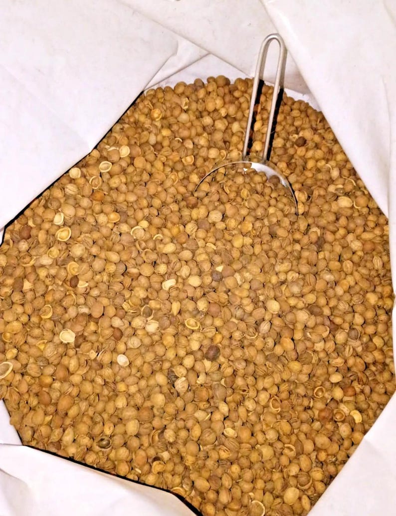 8lbs Bulk Dried Cherry Pits From Traverse City Michigan (cherry Capital ...