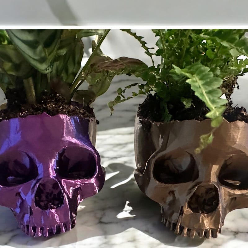 Skull Planter - Etsy