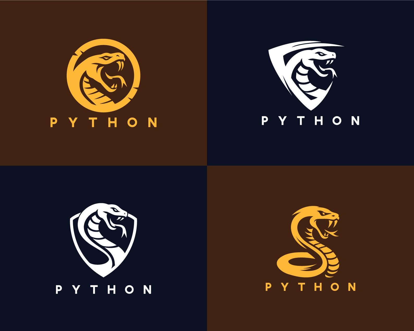 Python Custom Logo Design | Professional Branding for Businesses ...