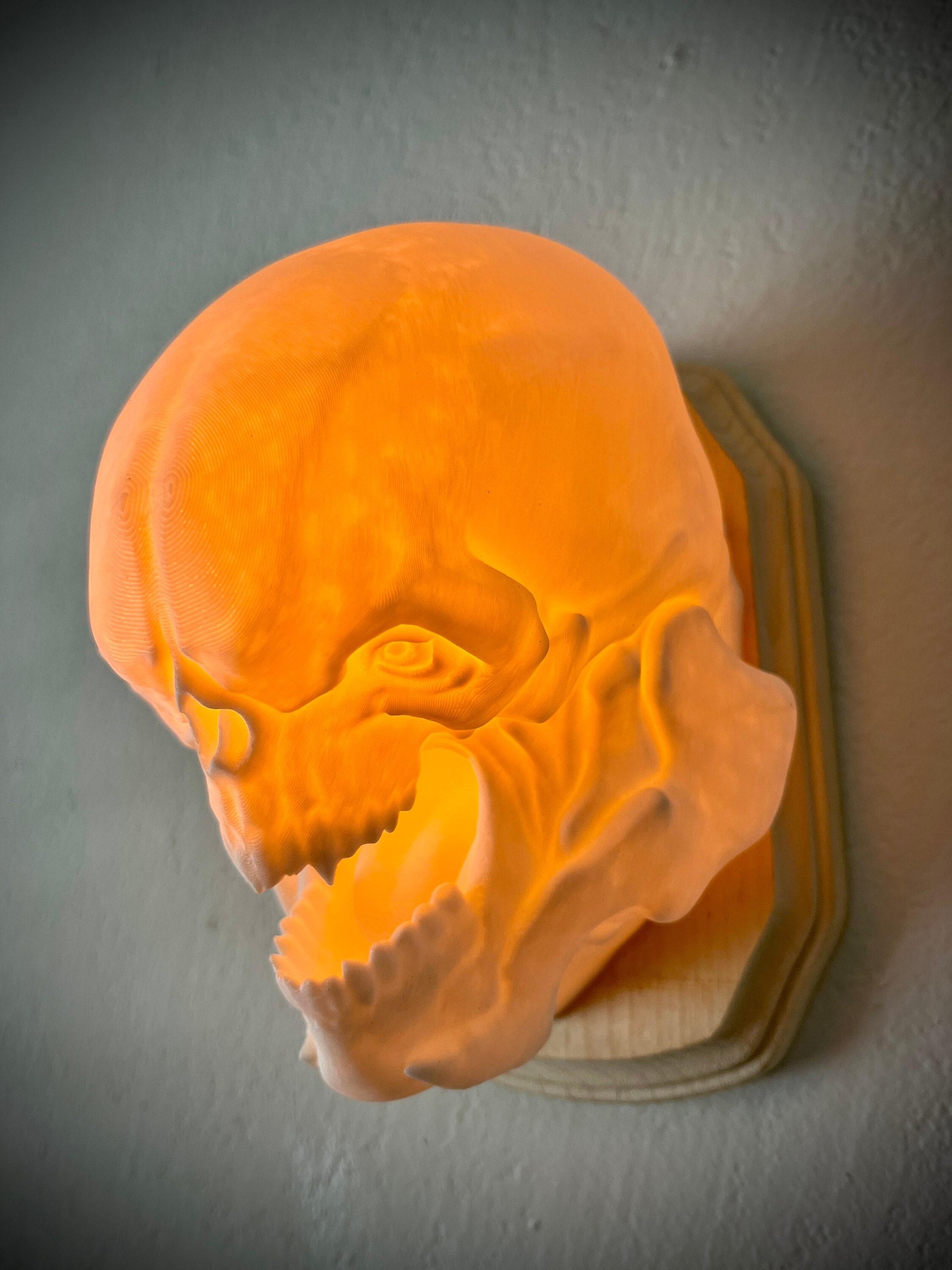 Doom Eternal Hell Knight Inspired Wall Trophy Lamp to Decorate Your ...