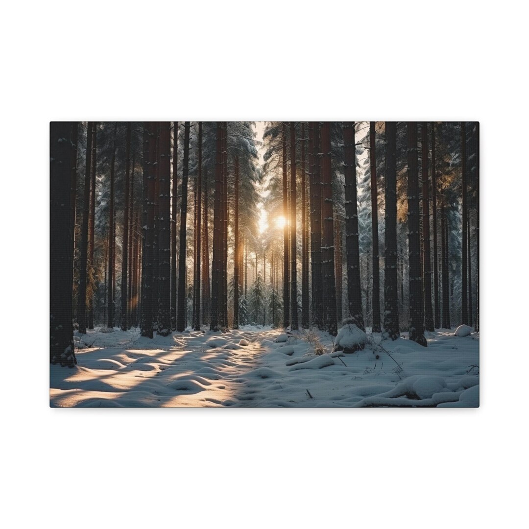 Lushill Style Sun Shining Through Winter Pine Trees Snow Canvas Art ...