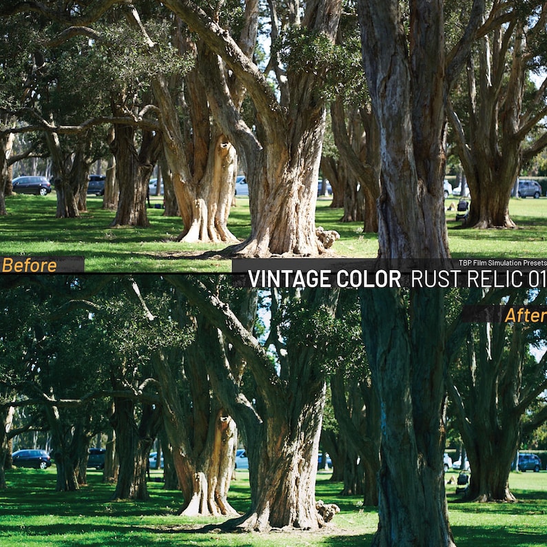 Vintage Film Presets – 66 Color and B&W Tones for Capture One - Etsy