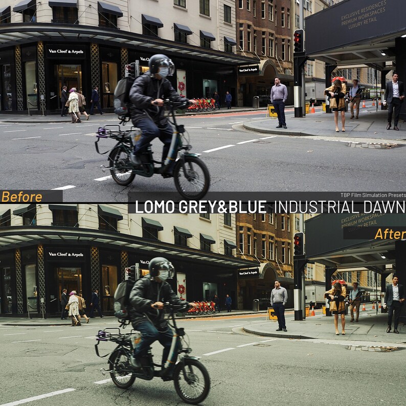 Moody Blue & Grey Presets: Lomo Film Drama for Capture One - Etsy Ireland