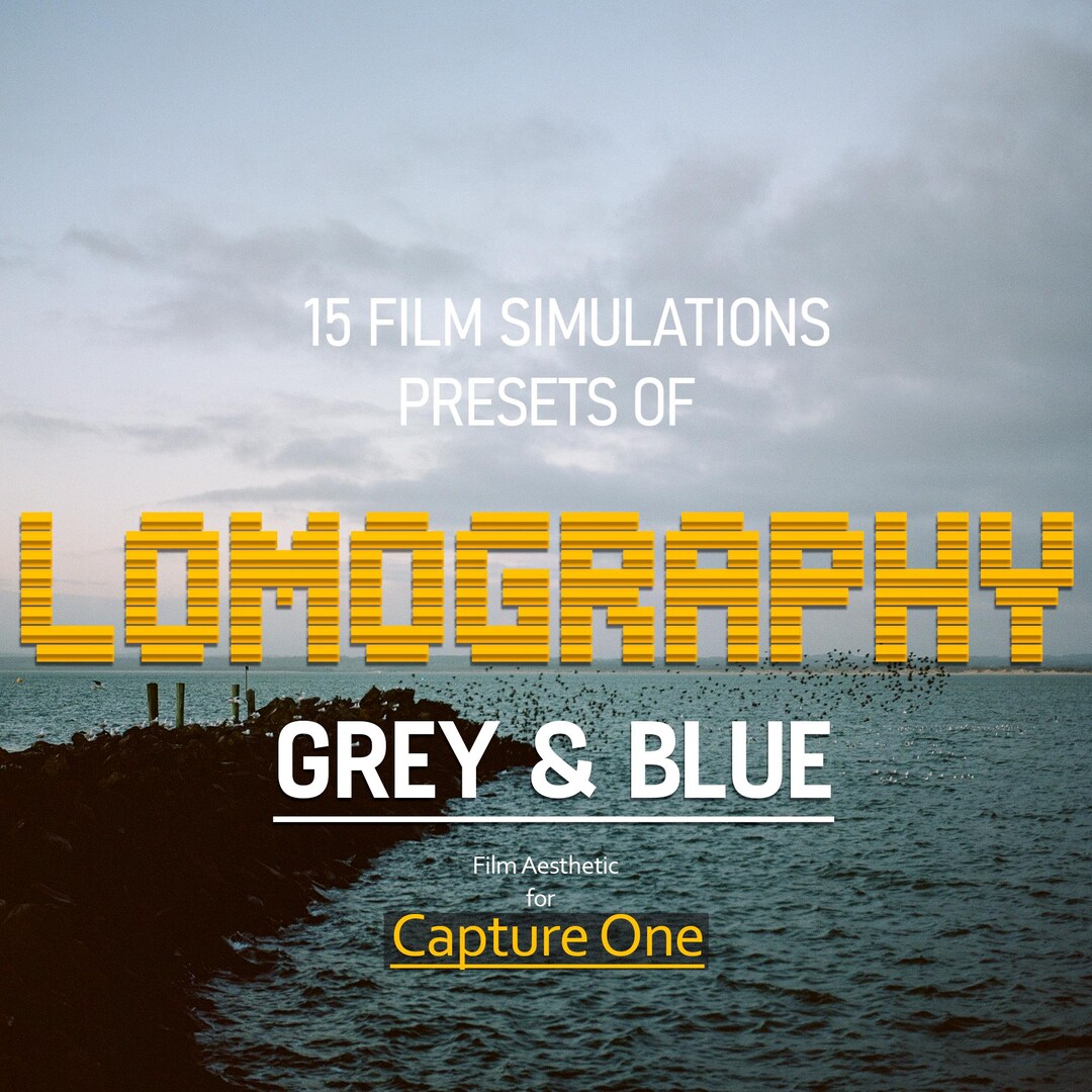 Moody Blue & Grey Presets: Lomo Film Drama for Capture One - Etsy Ireland