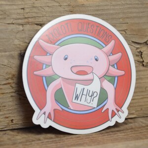 Axolotl Questions Sticker - Etsy