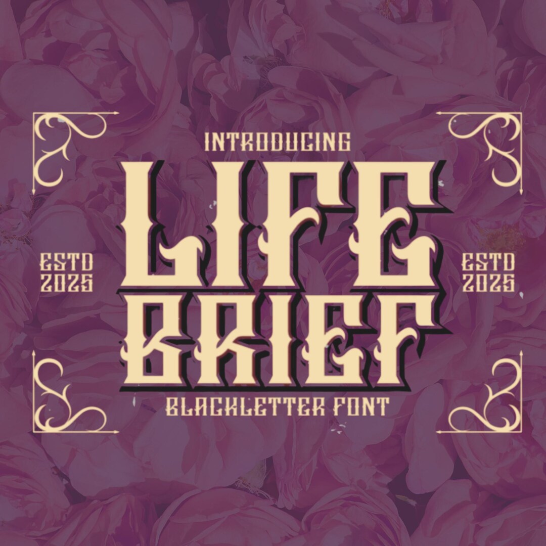 Life Brief Fonthandwritten Font, Cricut Fonts, Cute Font, Procreate ...