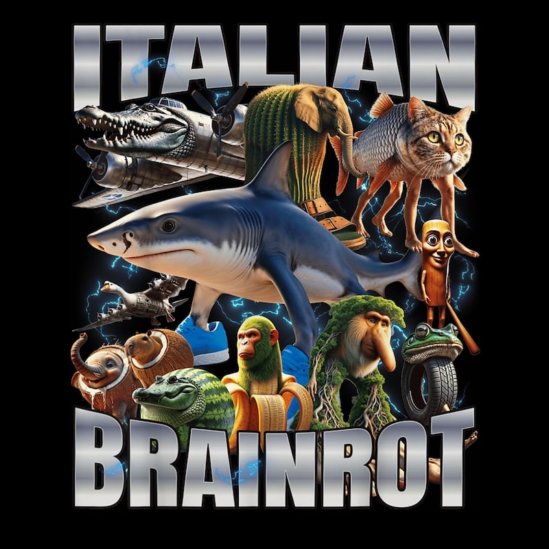 Italian Brainrot Funko Pop - Etsy Canada