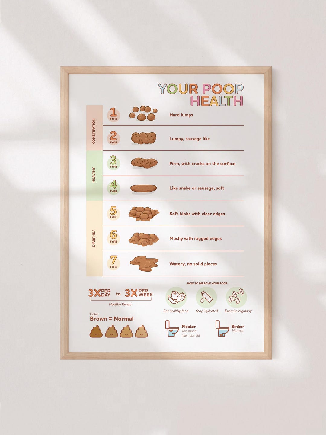 Poop Health Poster, Medical Human Anatomy Wall Art, Bristol Stool Scale ...