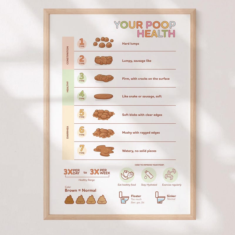 Bristol Stool Scale - Etsy