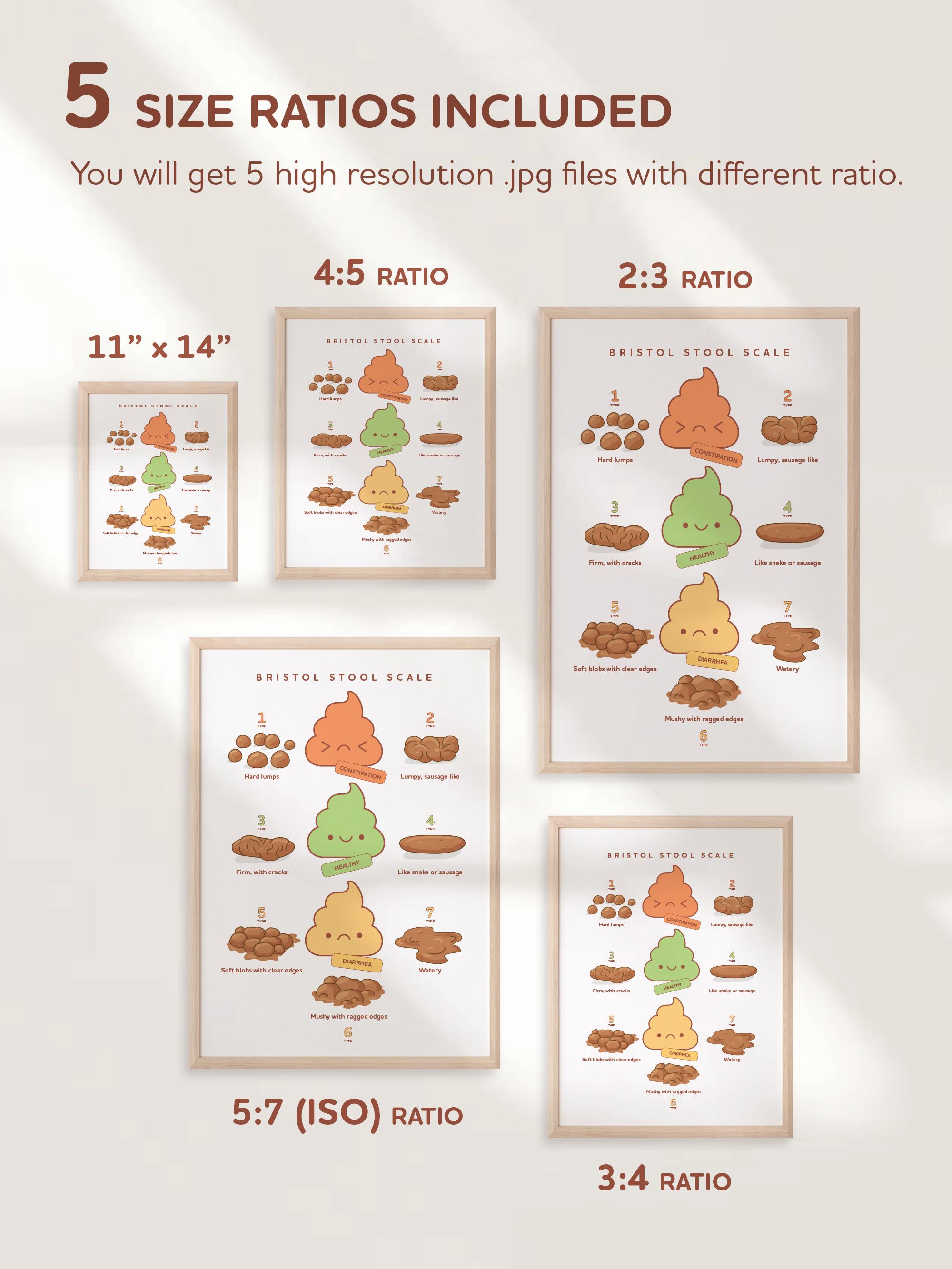 Poop Health Poster for Kids, Medical Human Anatomy Wall Art, Bristol ...