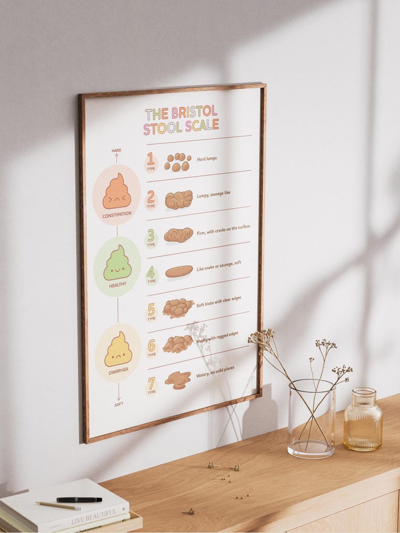Bristol Stool Scale Poster, Medical Human Anatomy Wall Art, Funny Poop ...
