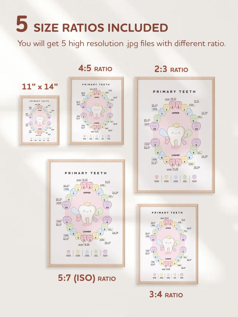 Primary Teeth Poster for Kids, Tooth Chart Classroom Decor, Dental ...