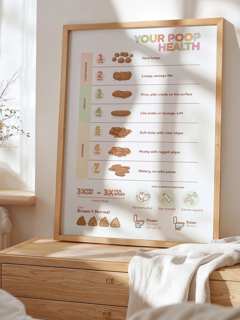 Poop Health Poster, Medical Human Anatomy Wall Art, Bristol Stool Scale ...