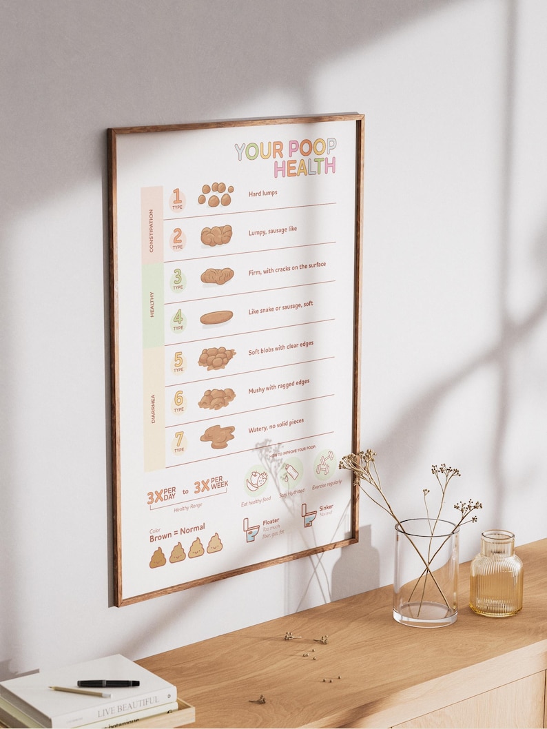 Poop Health Poster, Medical Human Anatomy Wall Art, Bristol Stool Scale ...